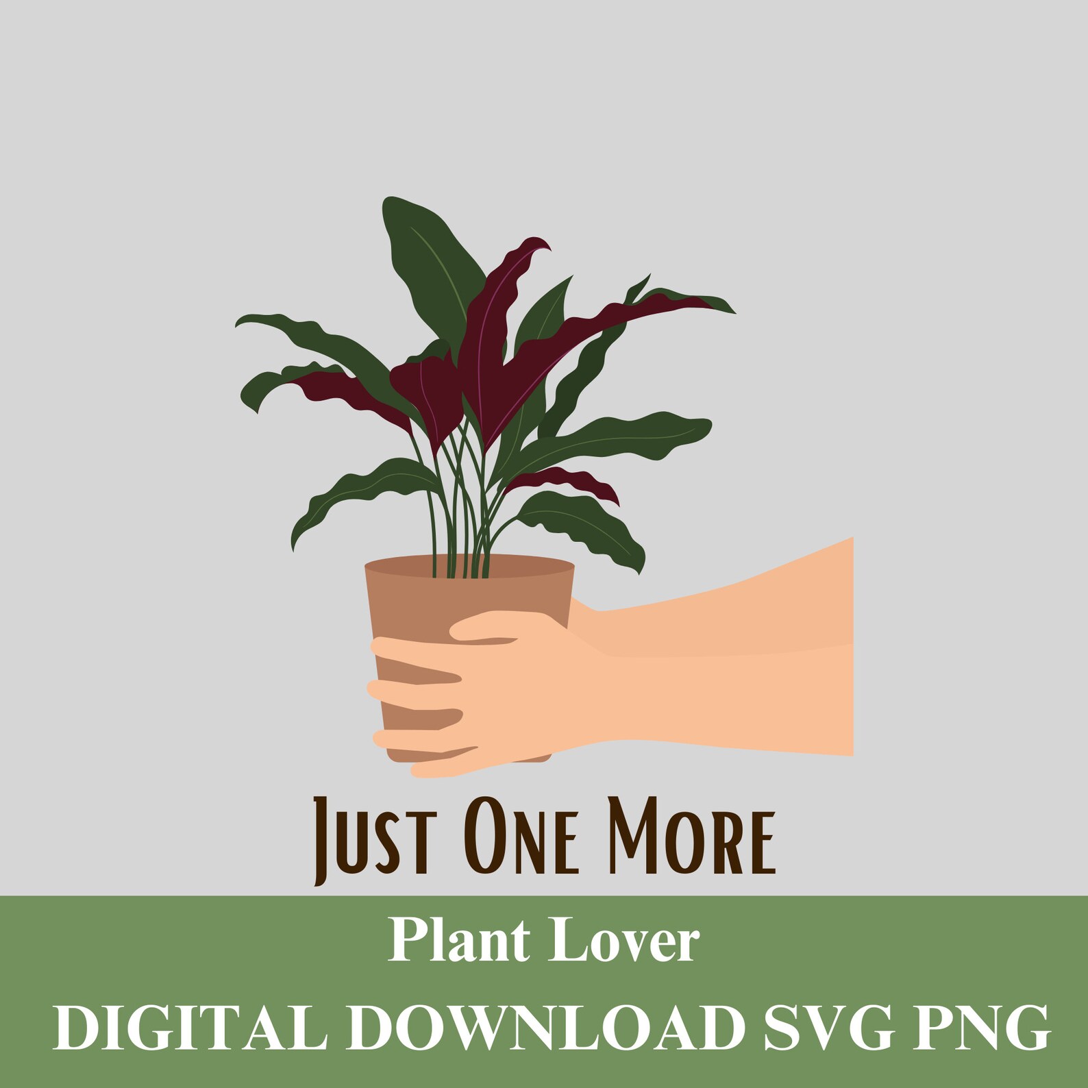 Plant Quotes SVG, Plant Lover Svg, Plant PNG, Plants SVG, Svg Bundle ...