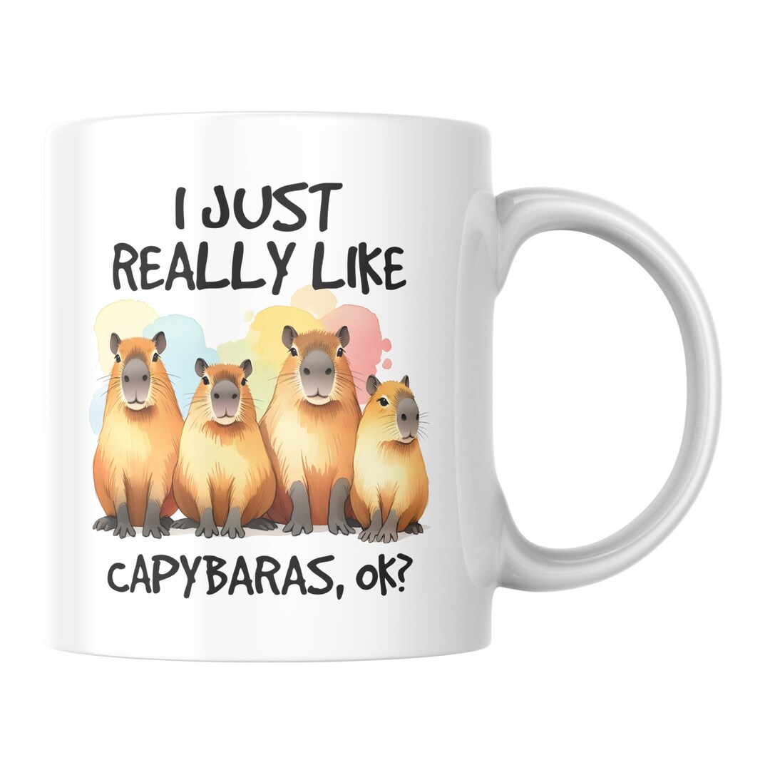 Funny Capybara Mug, I Just Really Like Capybaras, Ok Capybara Lover ...