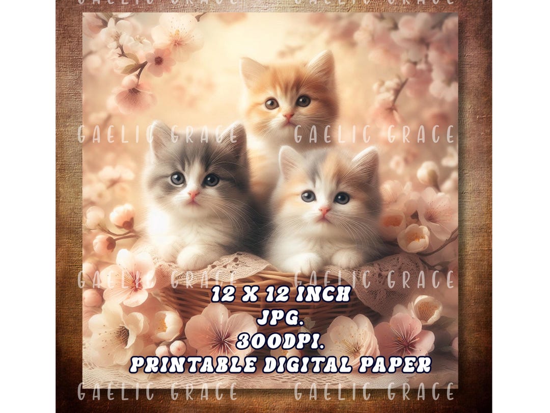 Printable Paper, Kittens, Floral, 12x12 JPG, Digital Print, Decoupage ...