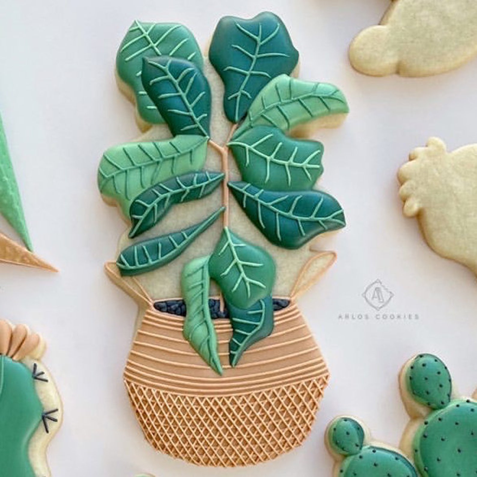 Cookie Cutters: Arlo's Cookies Plants Set #1 (potted ZZ, Fiddle Leaf ...
