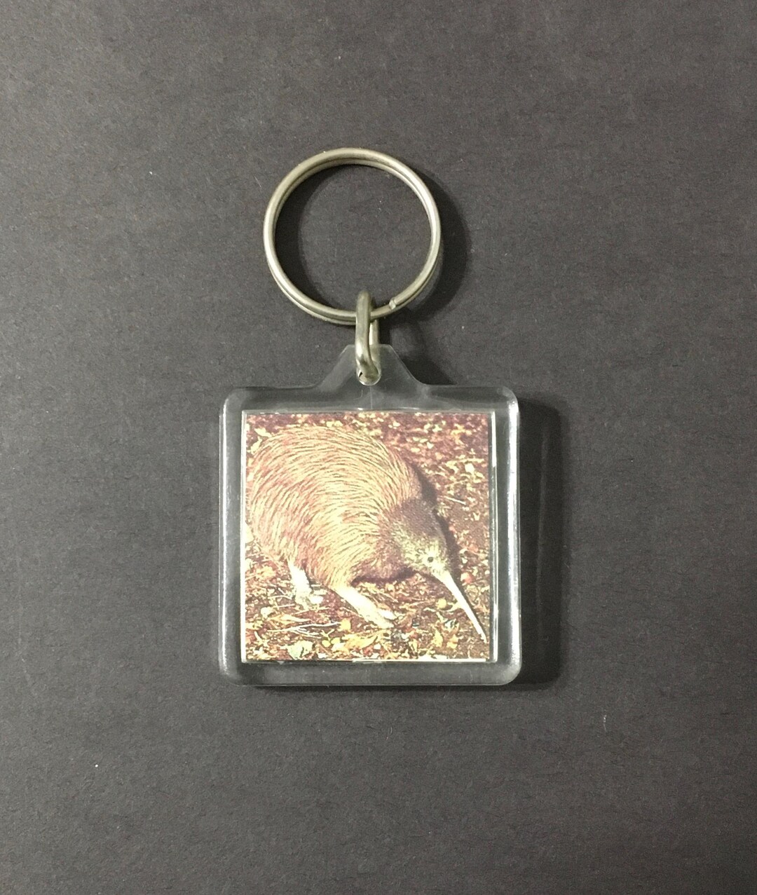 Vintage NEW ZEALAND Kiwi Bird Country Map Outline International Travel ...