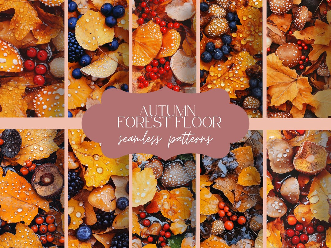 12 Fall Forest Floor Texture | Realistic Autumn Nature Photo | Wet ...