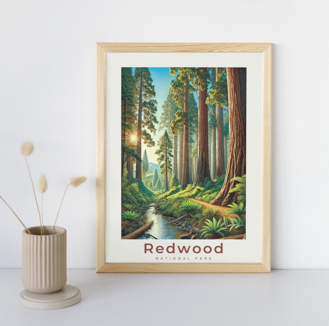 A4 Poster of Redwood National Park. Art, Redwoods , National Park ...