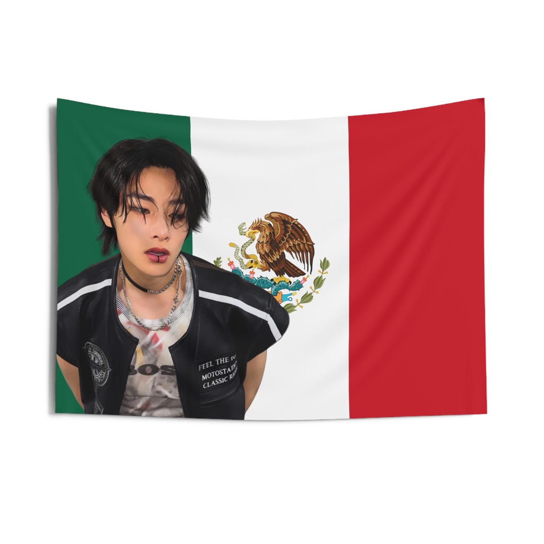 Skz I.N Serving Face Card Mexican Flag, Stray Kids Concert Banner, SKZ ...