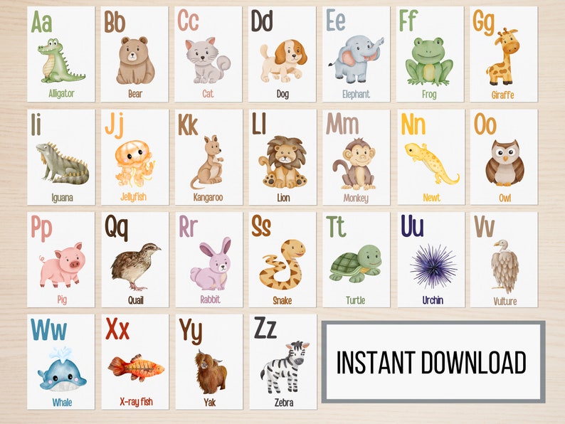 Animal Alphabet Flash Cards ABC Flash Cards Montessori - Etsy