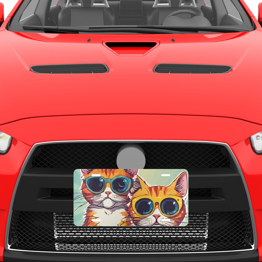 Cute Cat Vanity Plate Cool Cats Novelty Plate Gift for Cat - Etsy