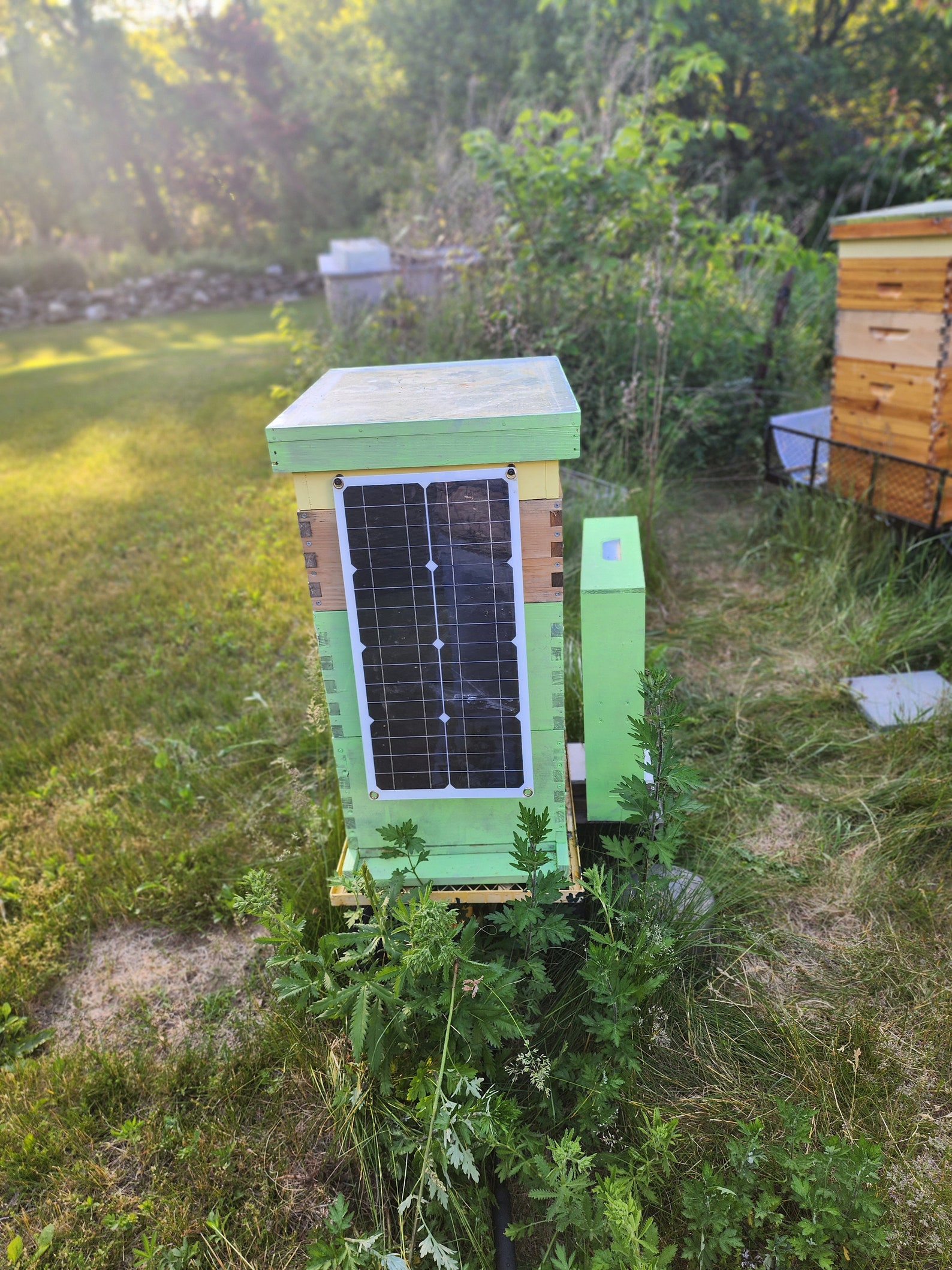Solar Beehive Fan Control Humidity - Etsy
