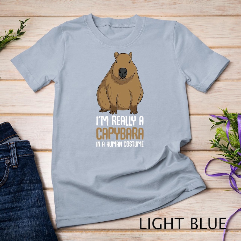 Traje de capibara - Etsy México