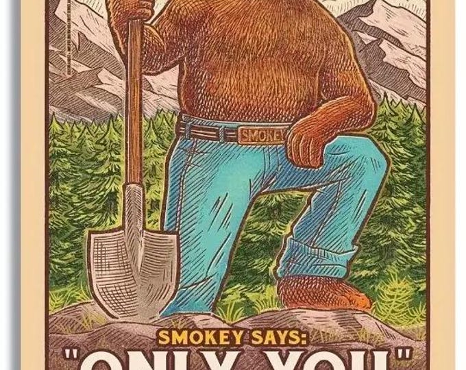 Smokey Says Only You Can Prevent Wildfires - Smokey the Bear Retro ...