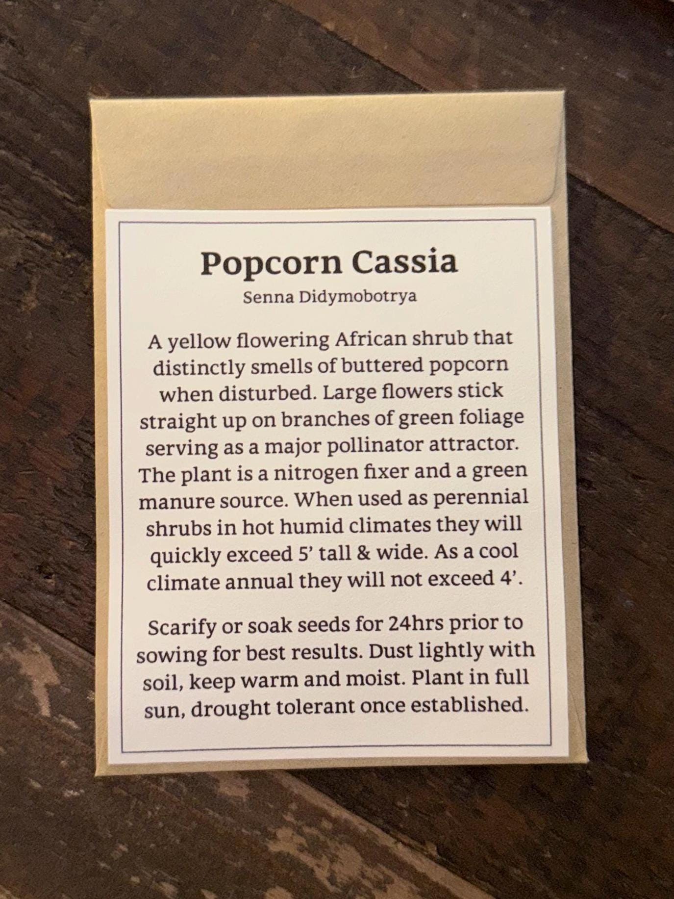 Popcorn Cassia Seeds - Senna Didymobotrya - Etsy