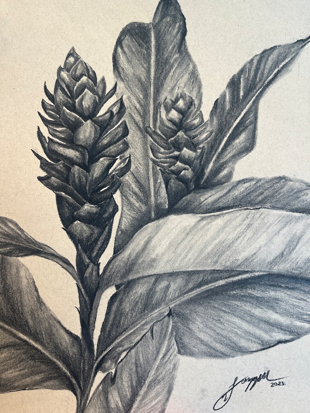 Hawaiian Awapuhi Flowers - Etsy