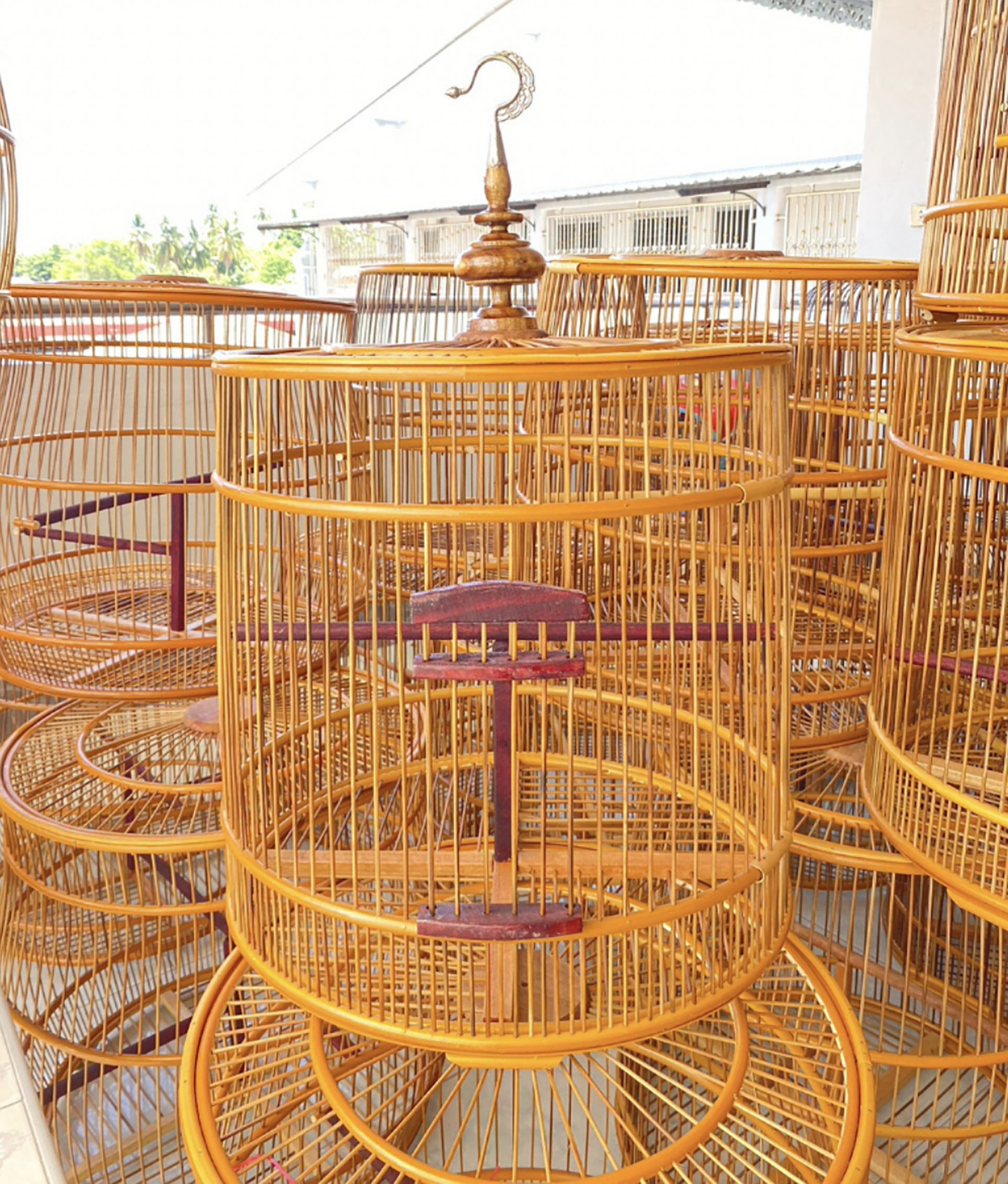 Handmade Bamboo Wooden Yard Flying Cage, 18 Inch Can Cage with Head ...