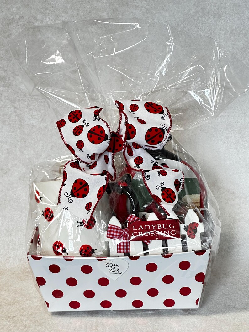 Ladybug Gifts for Her, Birthday Gift, Thinking of You Gift, Sending a ...
