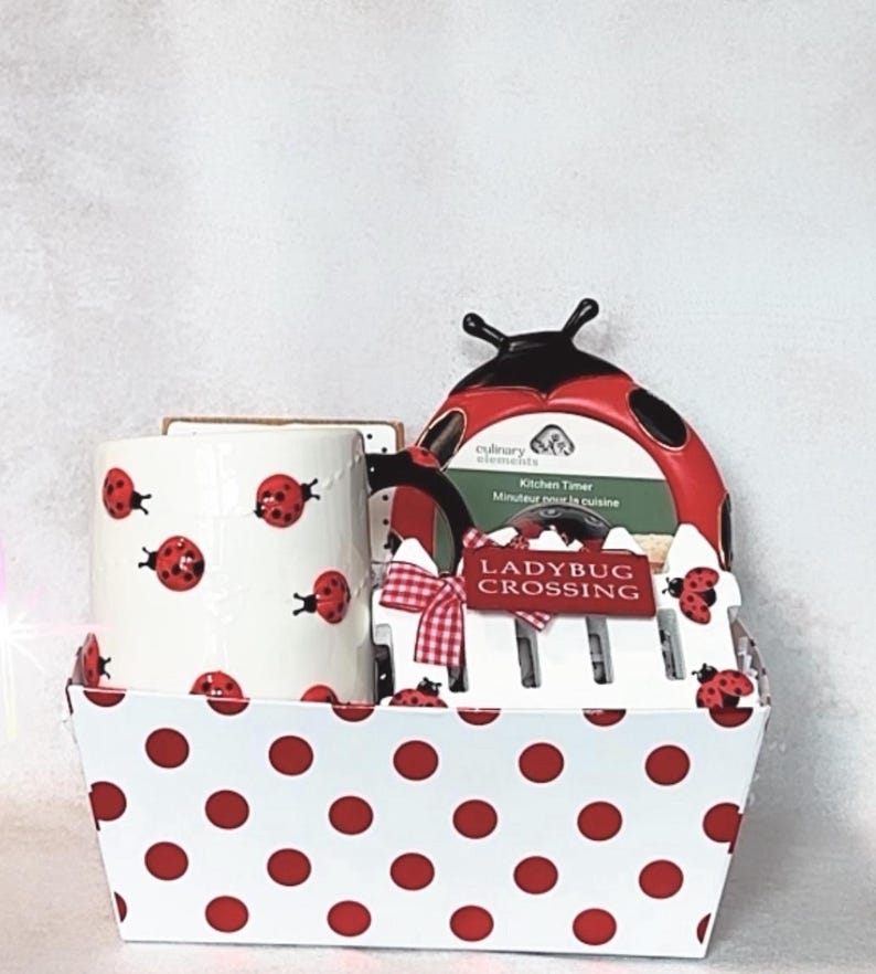 Ladybug Gifts for Her, Birthday Gift, Thinking of You Gift, Sending a ...