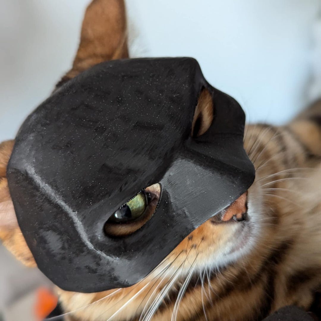 Batcat Mask / Catman the Dark Meow Cat Bat Mask Funny Halloween Costume ...