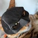 Foxy Mask FNAF / Five Nights at Freddy's/ Fnaf DIY Kit FAN Created ...
