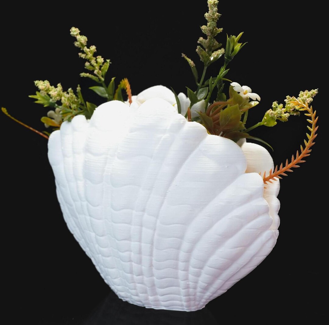 Clamshellshell Vase / Seashell Vase / Flower Vase / Beach Decor ...