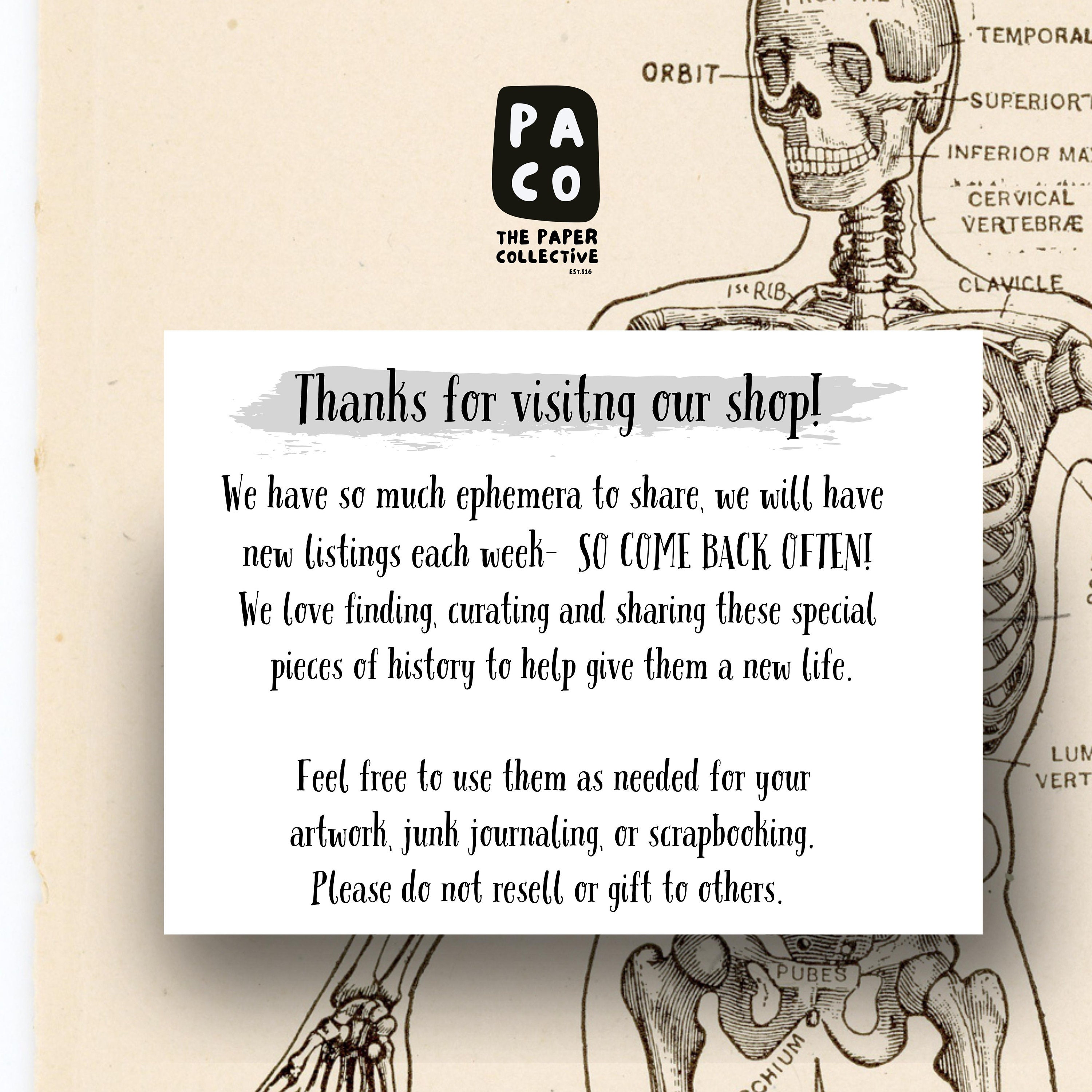 Ephemera Bundle, Medical Ephemera for Instant Download, Journaling ...