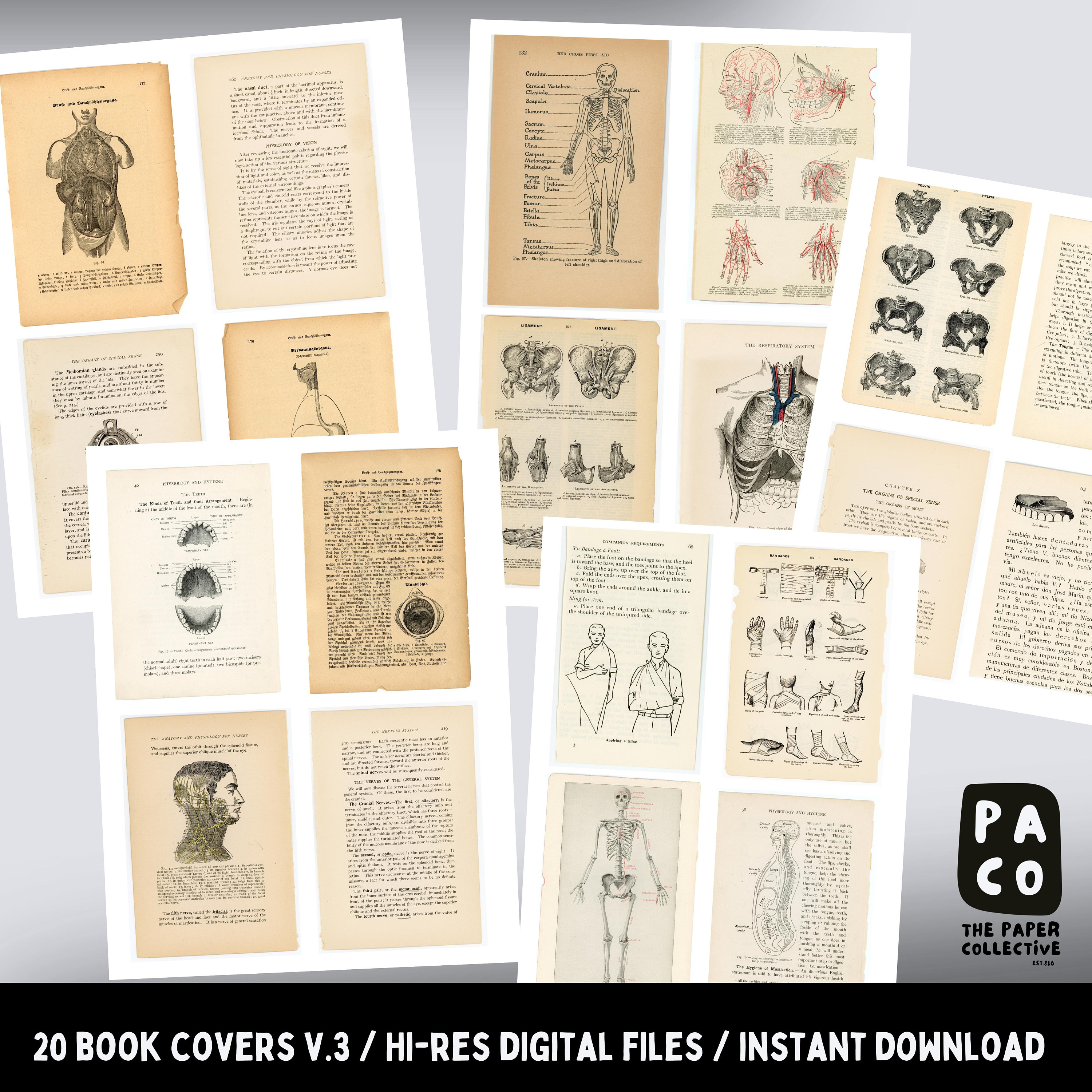 Ephemera Bundle, Medical Ephemera for Instant Download, Journaling ...