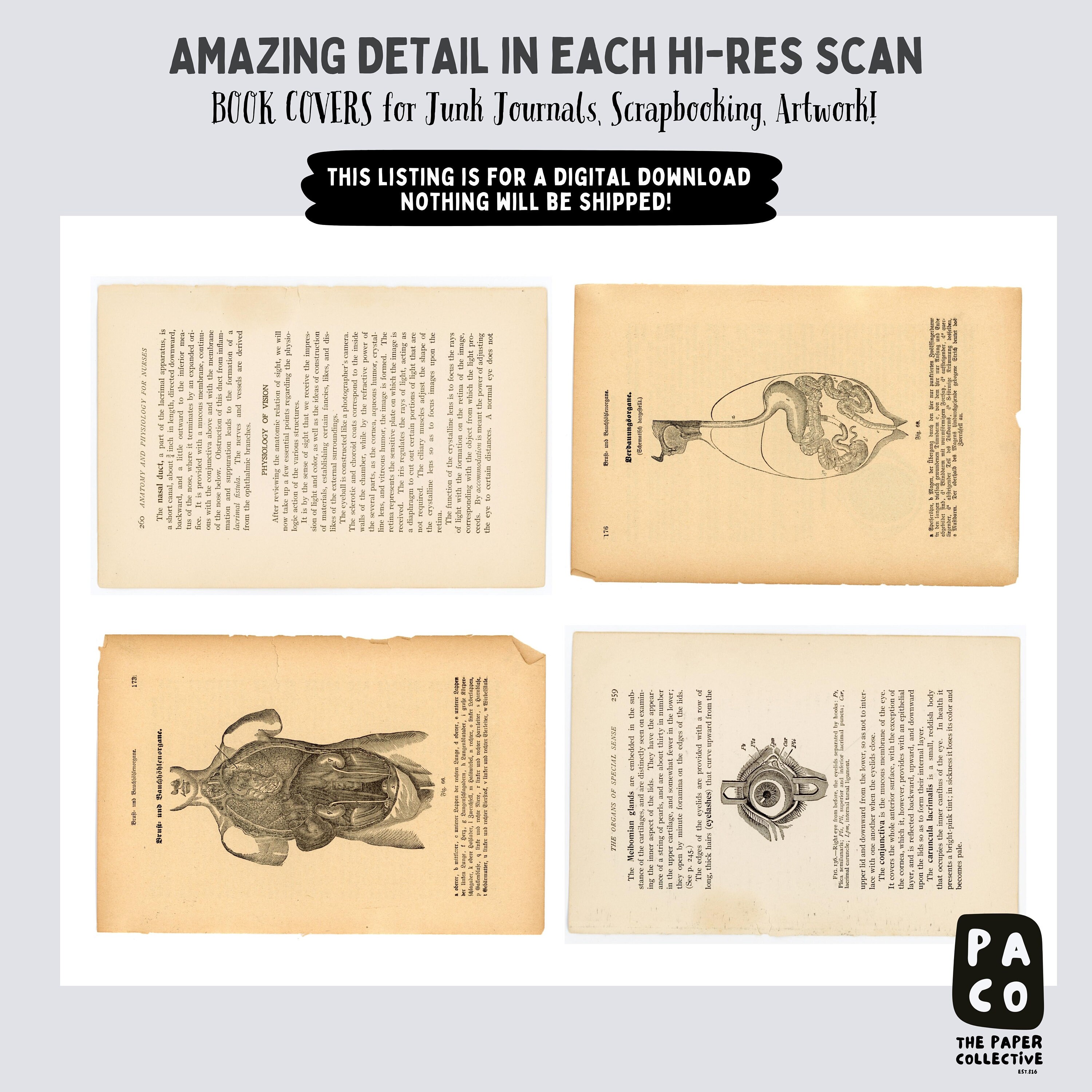 Ephemera Bundle, Medical Ephemera for Instant Download, Journaling ...