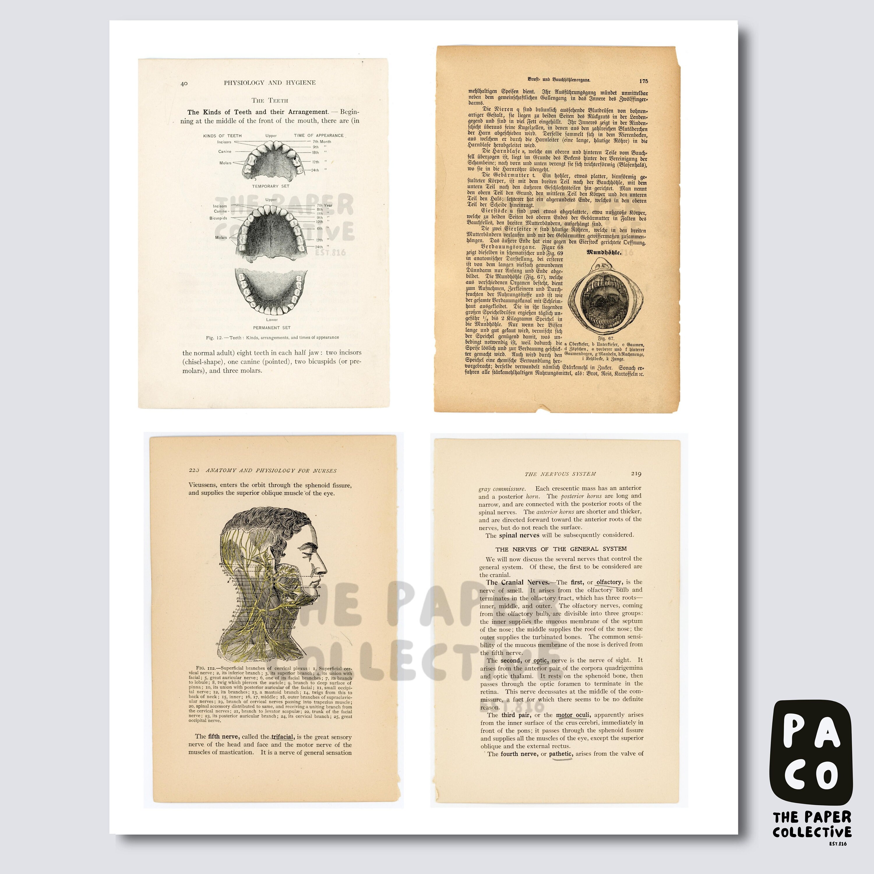 Ephemera Bundle, Medical Ephemera for Instant Download, Journaling ...