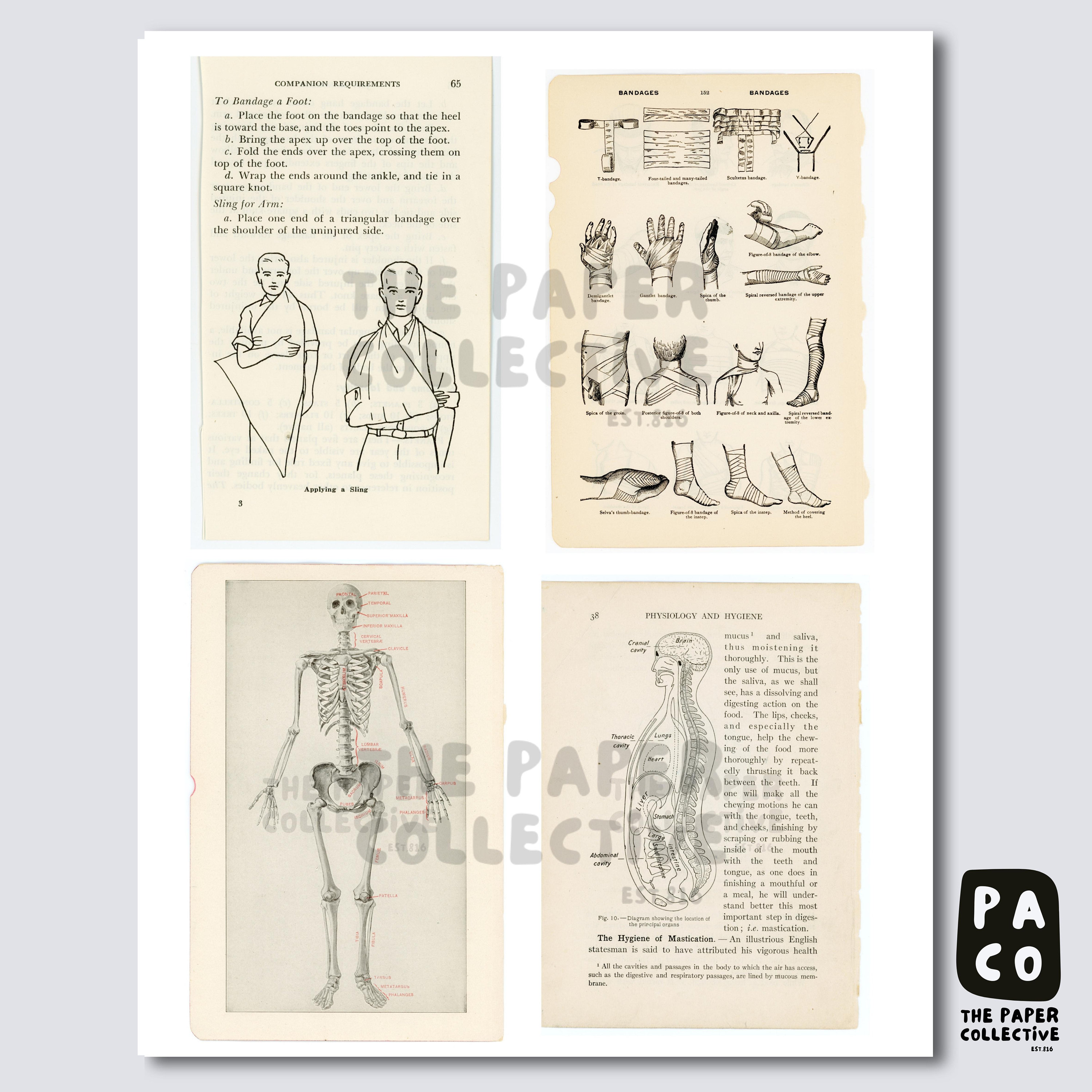 Ephemera Bundle, Medical Ephemera for Instant Download, Journaling ...