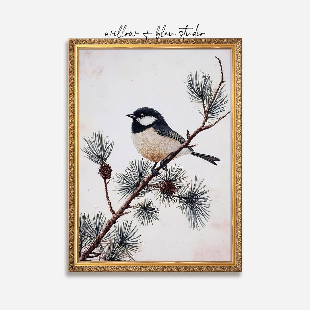 Winter Chickadee Print: Holiday Bird on Evergreen Tree (digital ...