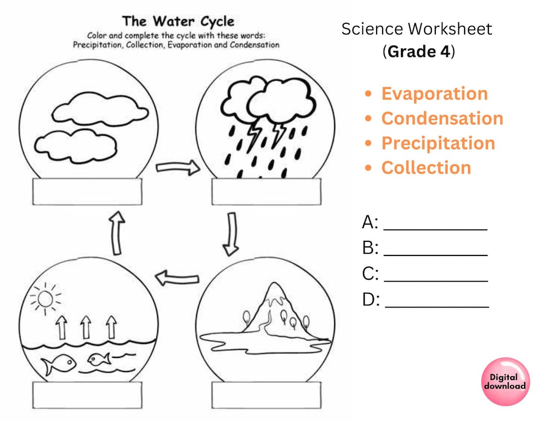 The Water Cycle grade 4 Worksheet - Etsy UK