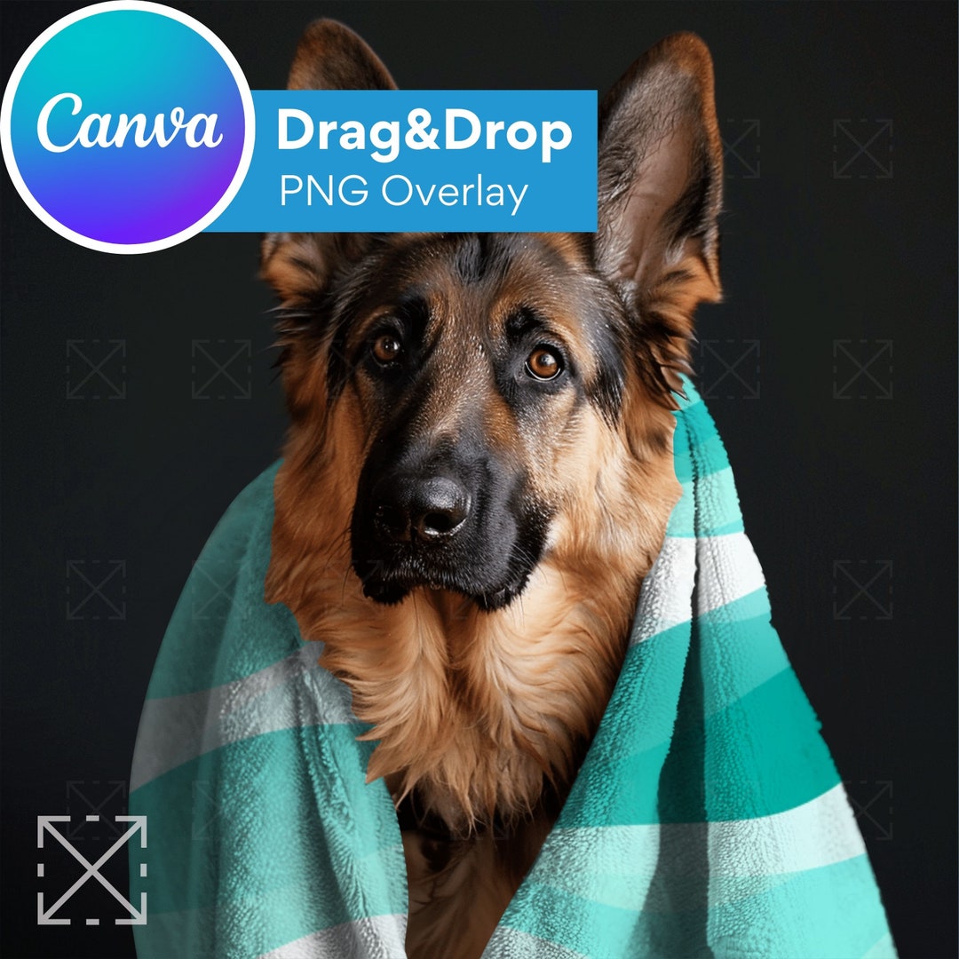 Dog Towel Mockup, Towel Mockups, Blank Towel, Towel Drag and Drop ...