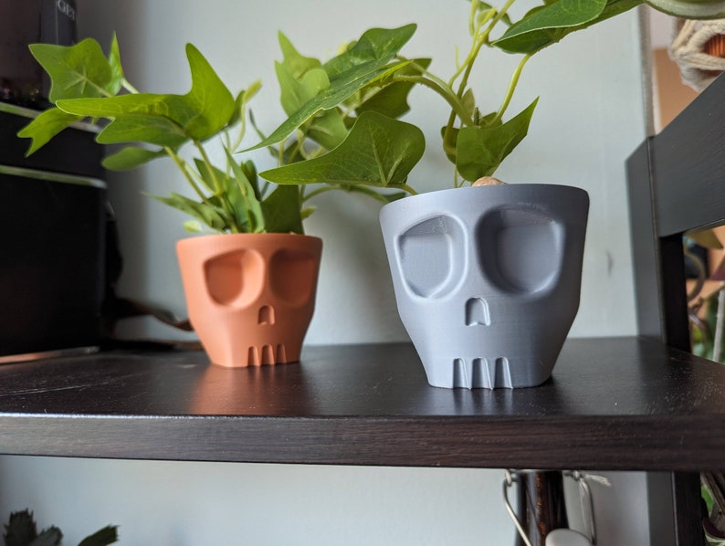 Skull Planter - Gothic Inspired Unique 3D Printed Indoor Plant Pot for ...