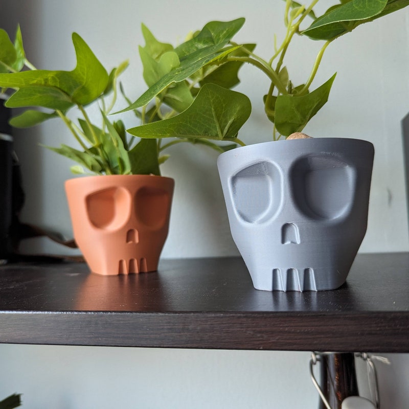 Skull Planter - Etsy