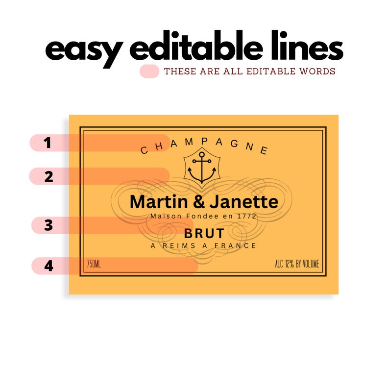Printable Champagne Label Editable Customize, Tequila Gift Ideas ...