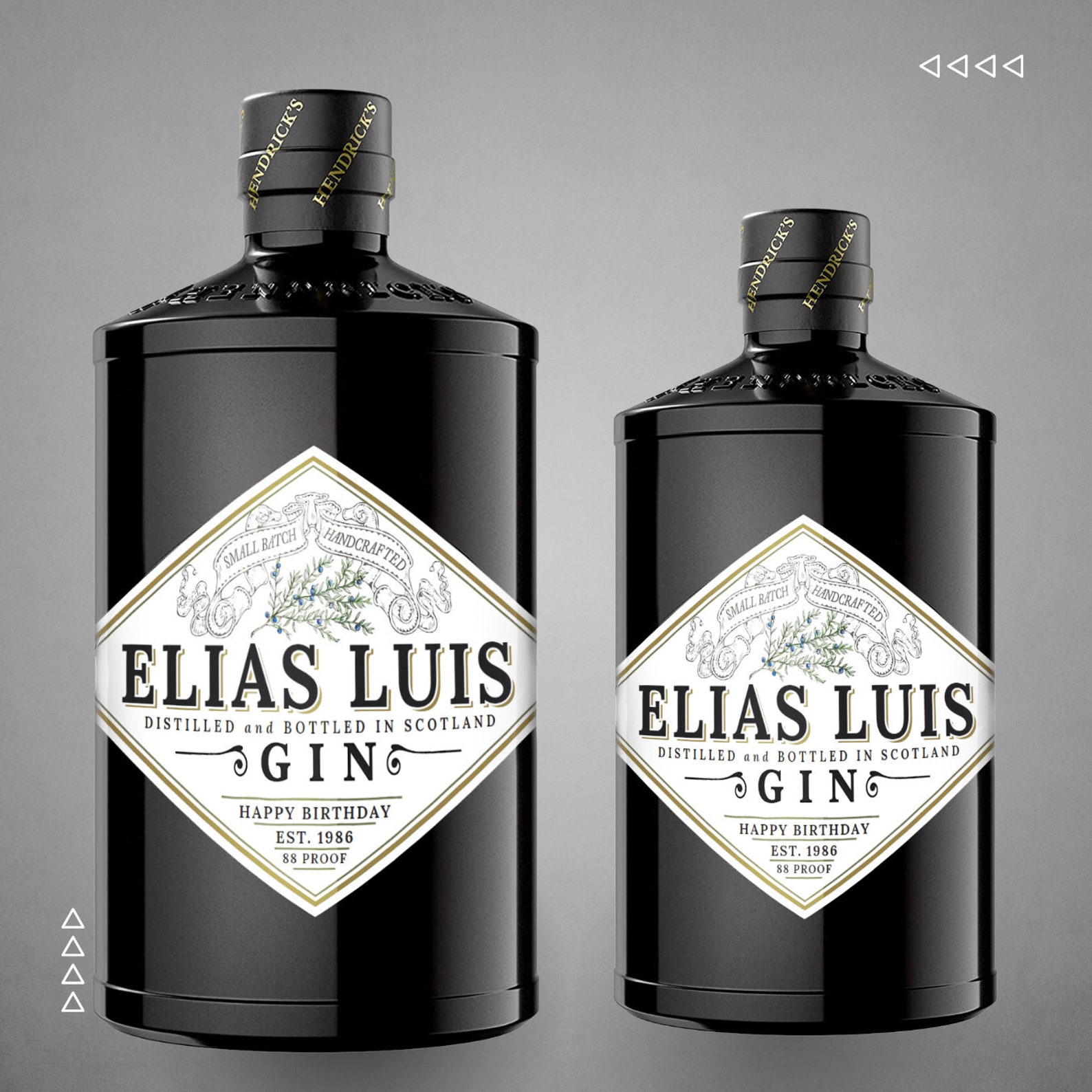 Printable Gin Label Editable Customize, Gin Gift Ideas. Birthday ...