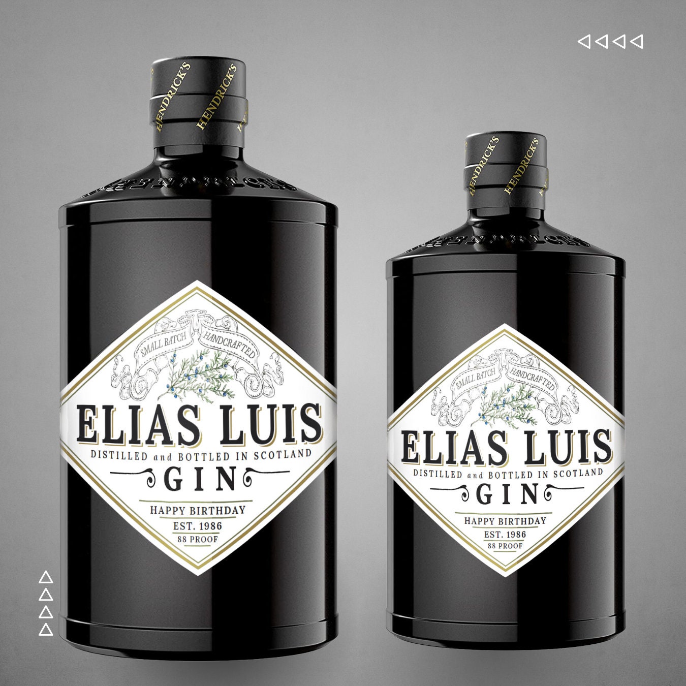 Printable Gin Label Editable Customize, Gin Gift Ideas. Birthday ...