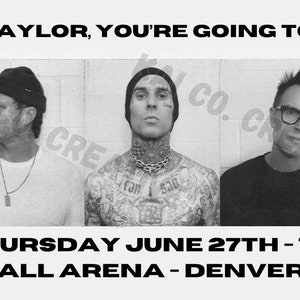 PHYSICAL LAMINATED Blink-182 One More Time Tour Custom/personalized ...