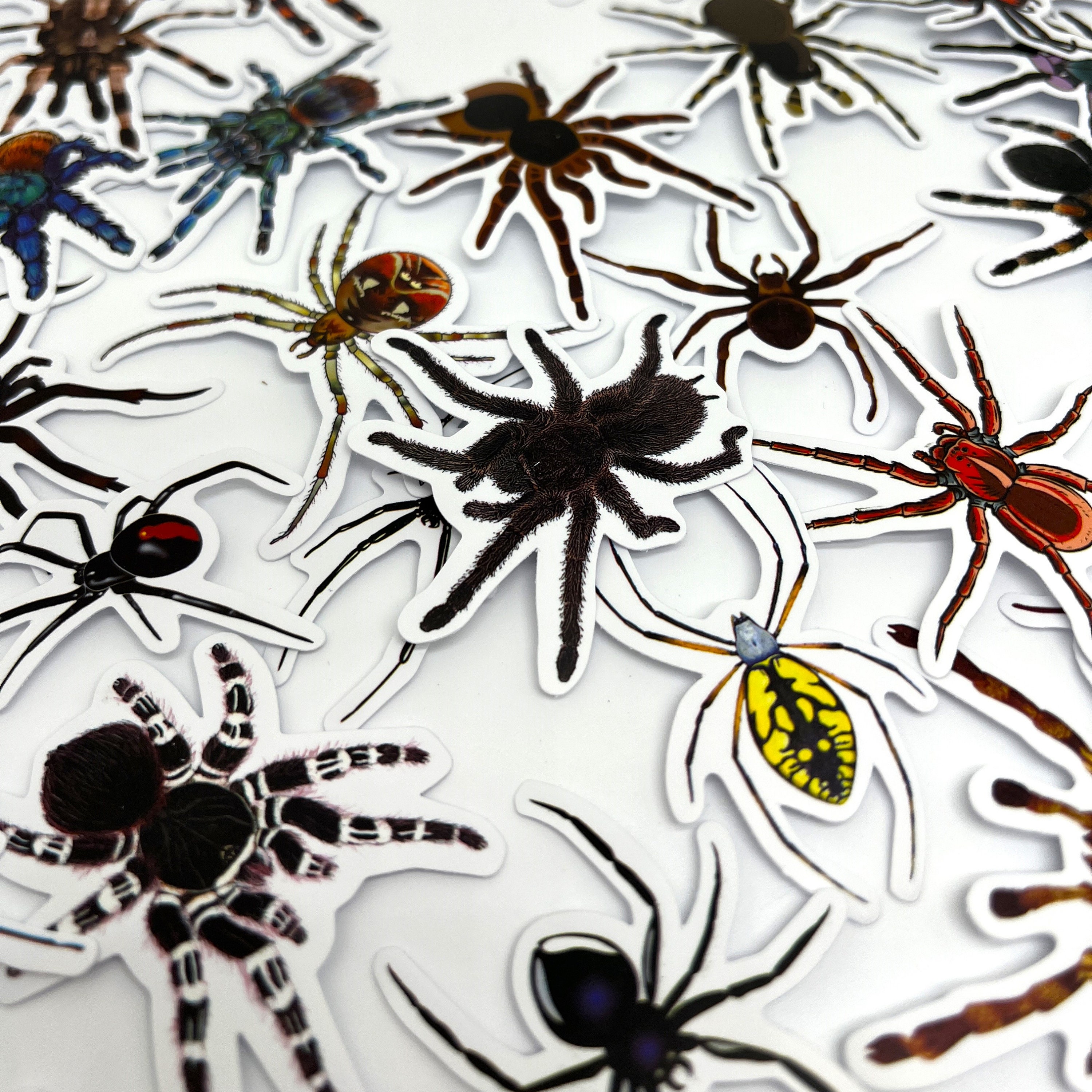 Spider Lovers Gifts, Spider Crafting Stickers, Insect Journal Stickers ...