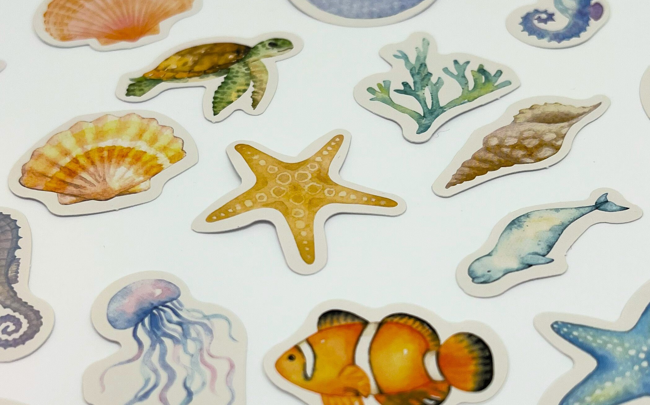 Seashell Stickers, Beach Aesthetic Stickers, Shell Stickers, Sea/ Ocean ...