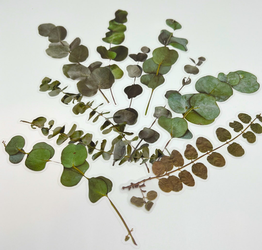 Eucalyptus Branch Stickers, Greenery Planner Stickers, Leaves Stickers ...