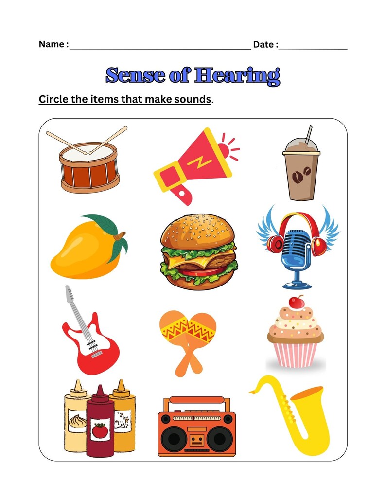 Five Senses Printable Learning, 5 Senses Sorting Activity, Preschool ...