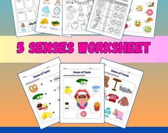 Five Senses Printable Learning, 5 Senses Sorting Activity, Preschool ...