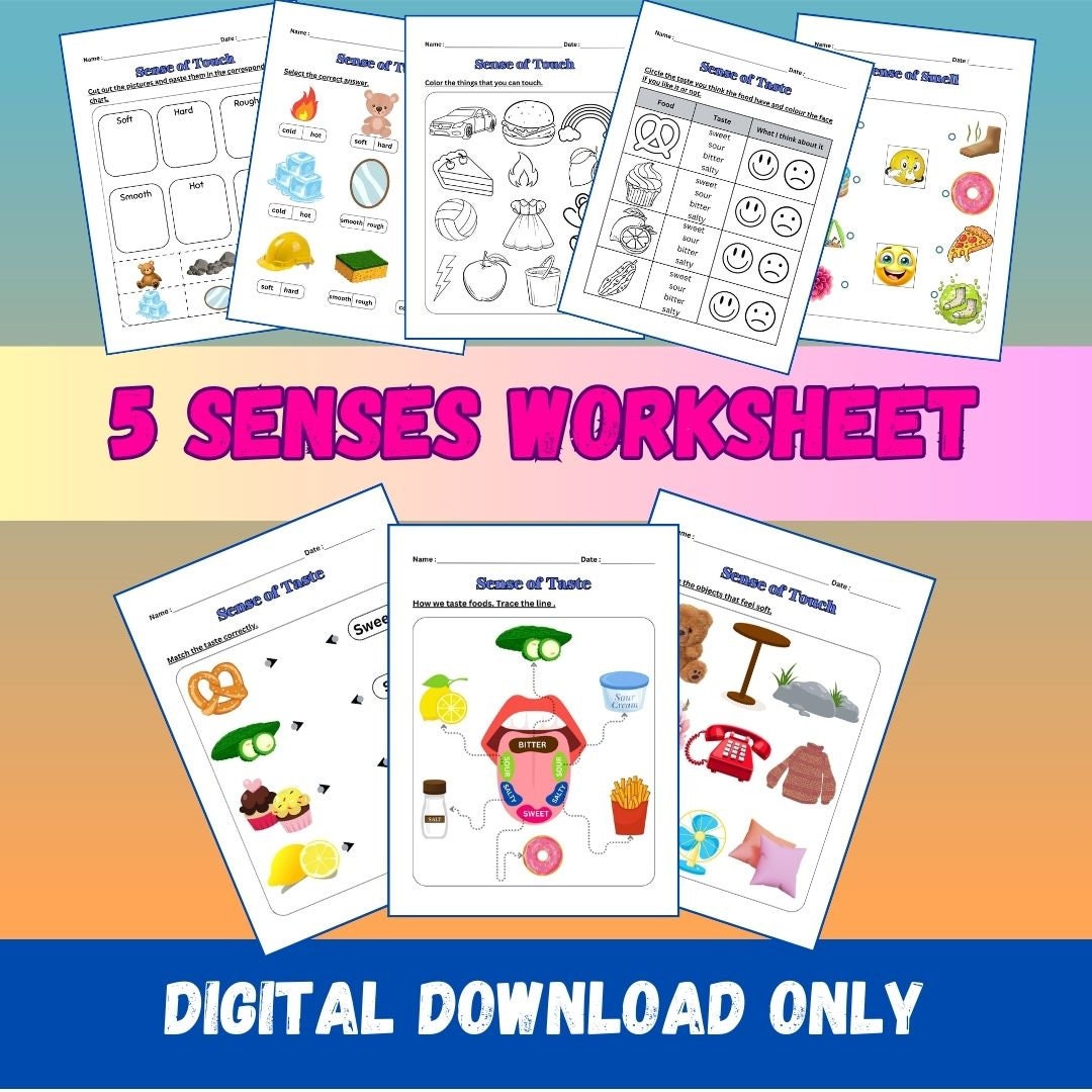Five Senses Printable Learning, 5 Senses Sorting Activity, Preschool ...