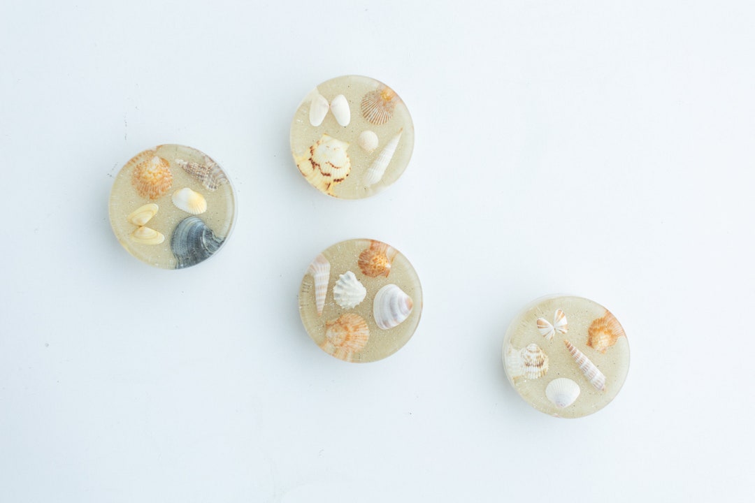 Authentic Florida Sea Shell Paper Weights | Real Florida Sand | Epoxy ...