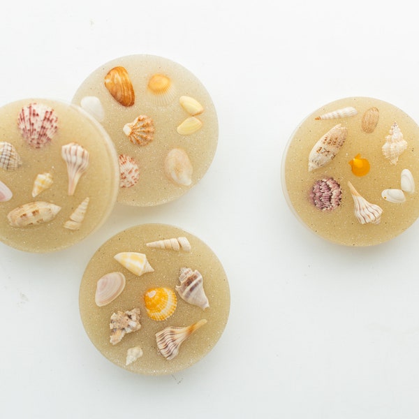 Sea Shell Coasters - Etsy