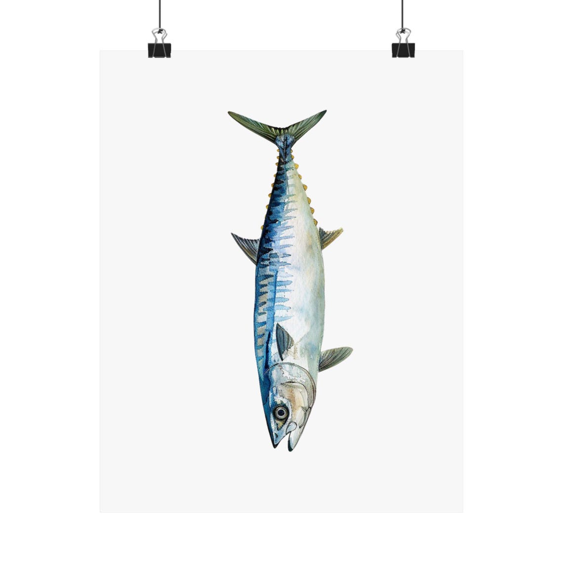 PRINTED - Fish Poster - Marine Poster Design - Mackerel - Minimalistic ...