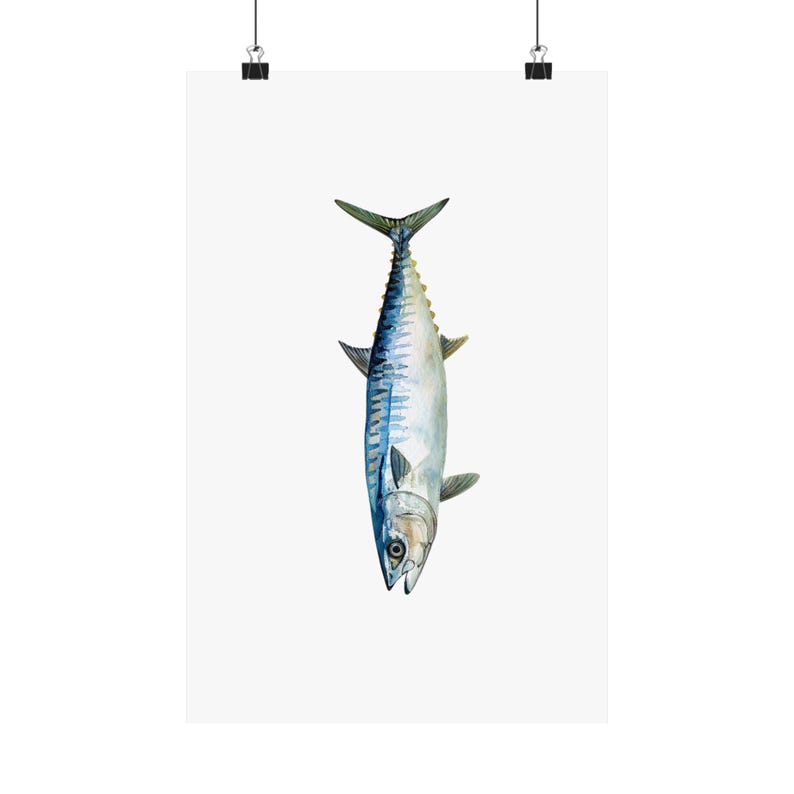 PRINTED - Fish Poster - Marine Poster Design - Mackerel - Minimalistic ...
