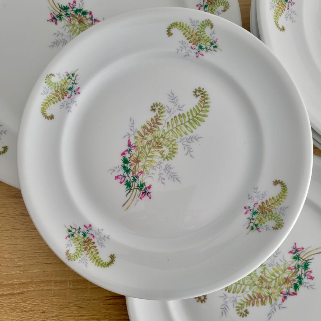 Haviland Plates From Limoges, France, Vintage Fern Design - Etsy Canada