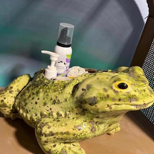 CUSTOM Painted Ceramic Arnel Toad Toilet Paper Holder LARGE - Etsy