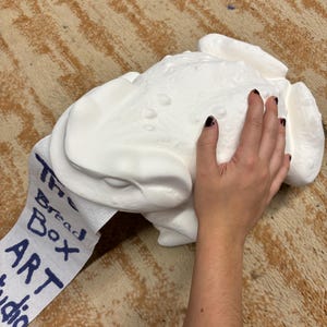 CUSTOM Painted Ceramic Arnel Toad Toilet Paper Holder - Etsy