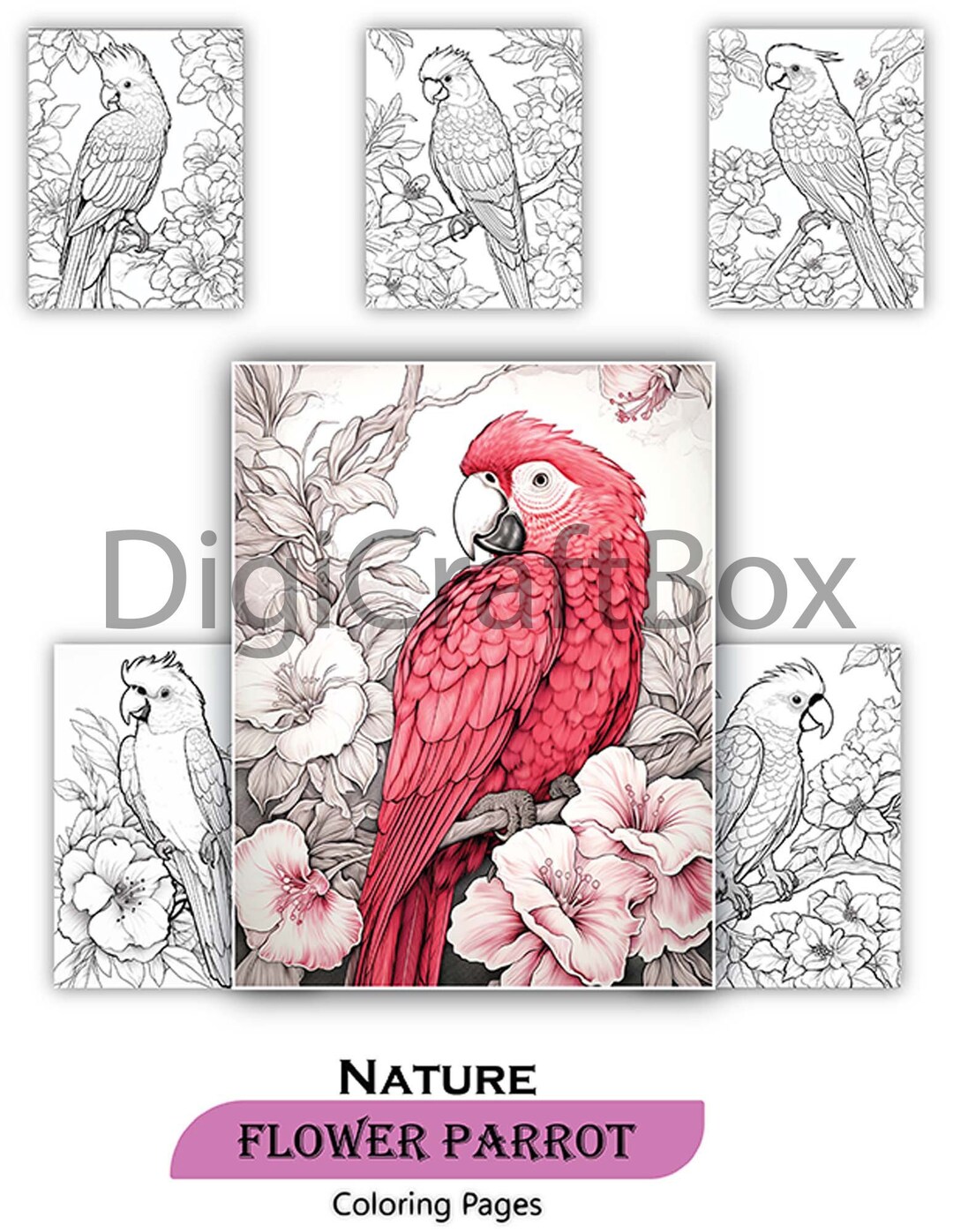 Realistic Parrot Drawing Detailed Avian Artwork With Flowers Printable ...