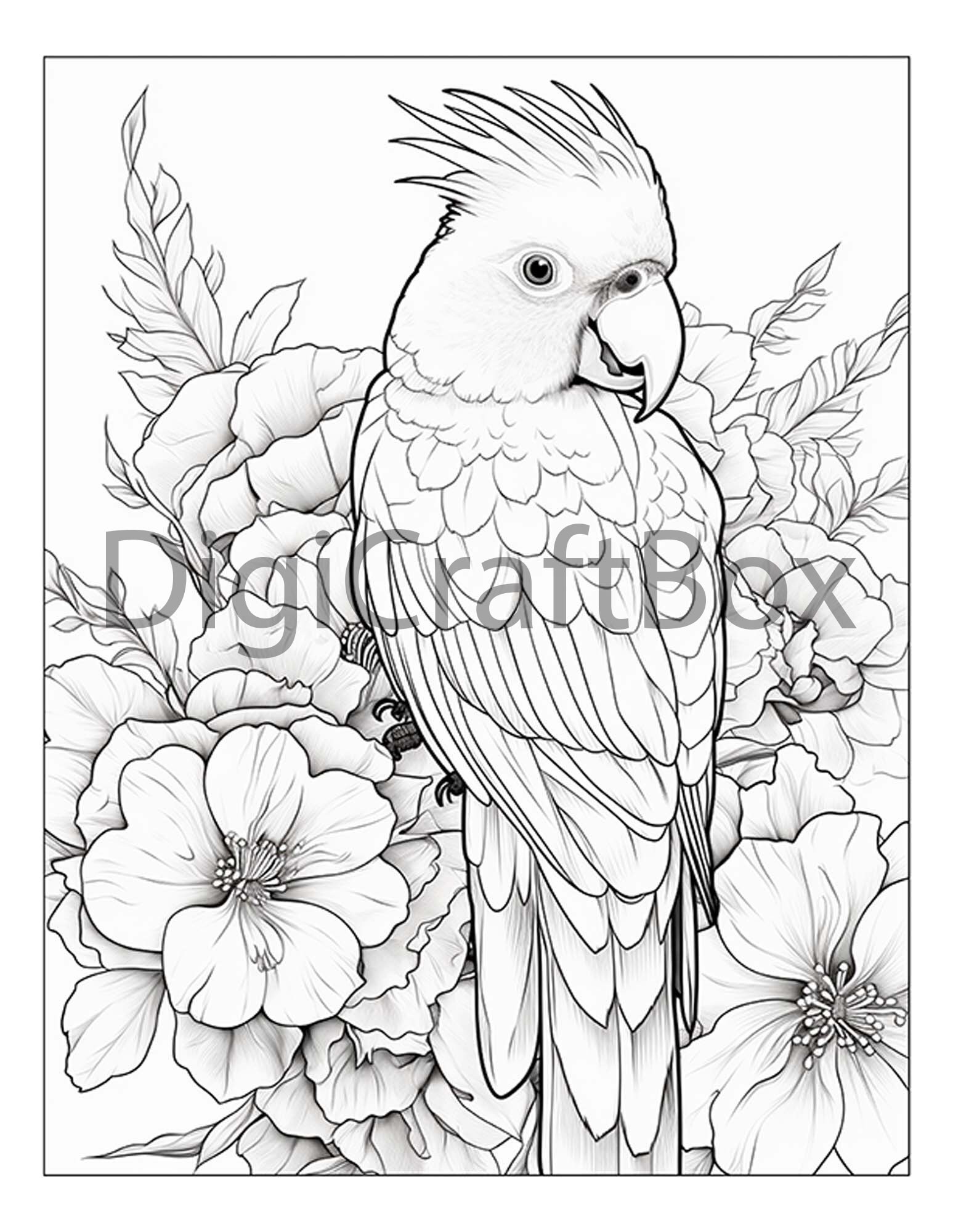 Realistic Parrot Drawing Detailed Avian Artwork With Flowers Printable ...
